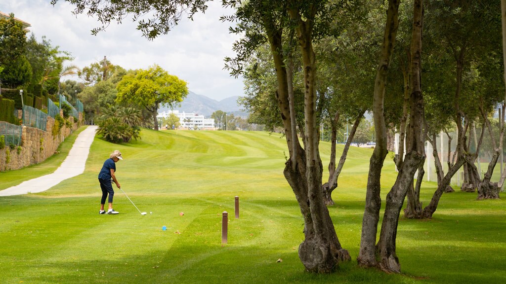 Río Real Golf - Golf Málaga Costa del Sol